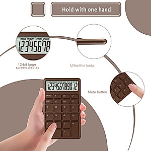 VEWINGL 12 Digit Calculator,Hold with one Hand,4 Function Calculator with Large LCD Display for Office,School,Home & Business Use,Automatic Sleep,5.4 * 3.3in