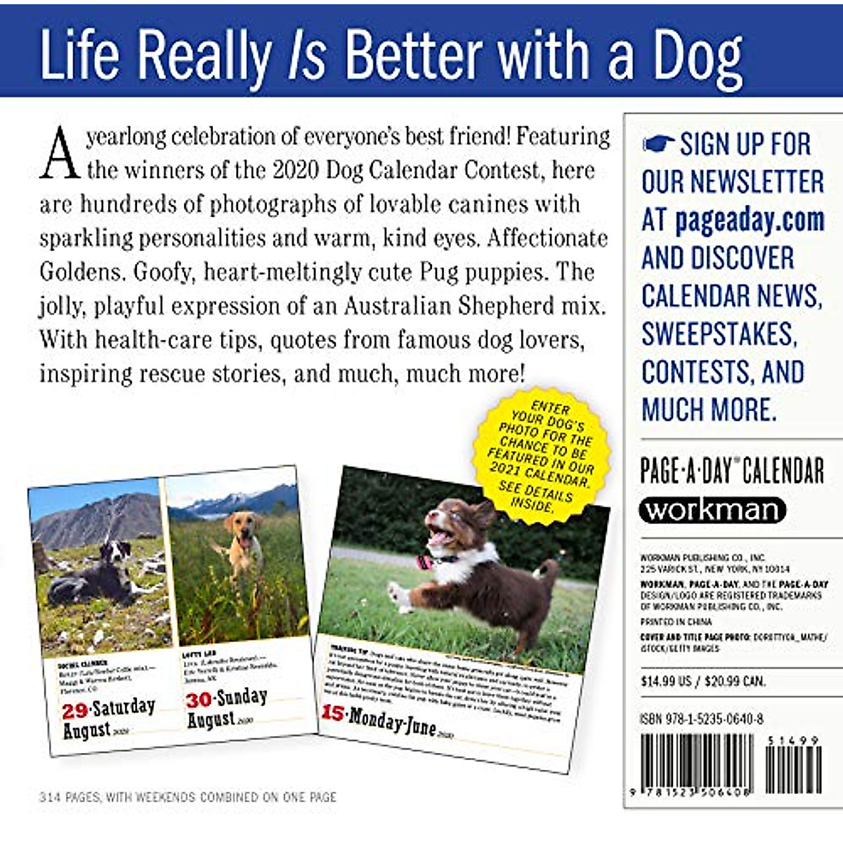 365 Dogs Page-A-Day Calendar 2020