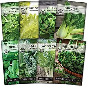 Sow Right Seeds - Large Greens Seed Collection for Planting - Spinach, Arugula, Kale, Lettuce, Tat SOI, Pak Choi, Mustard Greens and Swiss Chard - Non-GMO Heirloom Seeds to Plant & Grow a Home Garden