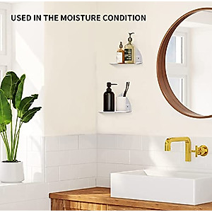 BAZASAX Invisible Floating Bookshelves, Floating Bookshelf for Wall, Heavy Duty Book Organizer, Metal Rustproof Hanging Book Shelves, Wall Mounted Book Shelf for Bedroom Bathroom Kitchen