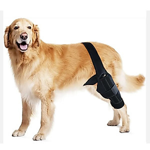 Dog Knee Brace for Torn ACL Hind Leg - Adjustable Leg Support for Hip Dysplasia, Dog Arthritis, Inflammation, Luxating Patella - Comfortable and Durable Dog Leg Braces for Back Leg - Black (Small)