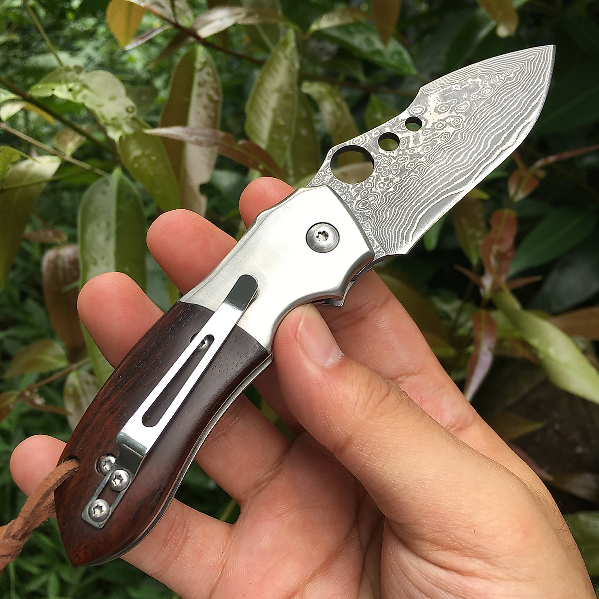 ALBATROSS HGDK007 EDC Sharp Damascus Folding Pocket Knife with Liner Lock-Cote D'Ivoire Sandalwood Handle,Gifts/Collections