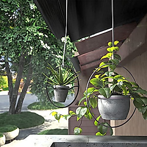 HOBBYMATE Plant Hangers Without Plant & Pot, Metal Hanging Plant Holder, Home Decorating Hanging Iron Art, 3 inches Rose Black Color