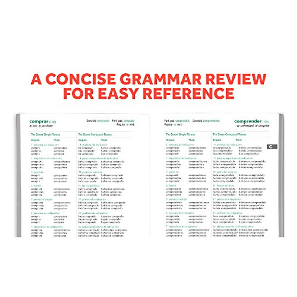 501 Spanish Verbs, Ninth Edition (Barron's 501 Verbs) (Spanish Edition)