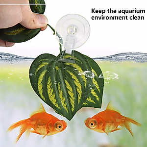 SLSON Fishes Veggie Seaweed Plant Suction Cup Clip Feeding Tool Feed Holder Aquarium Accessories for Fish Tank Fish Feeder Clips (4Pack Transparent)