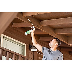 Donaldson Farms Carpenter Bee Killer Spray for Insects All Natural Foaming Spray, 16 oz