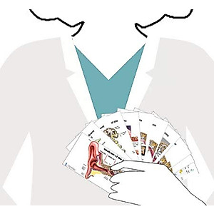 Blue Tree Publishing Ear Anatomy Pocket Charts