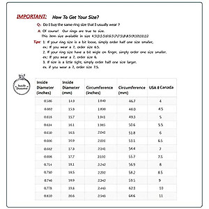 Bo.Dream 3ct Cushion Cut Cubic Zirconia CZ Engagement Rings for Women Platinum Plated Sterling Silver (6)