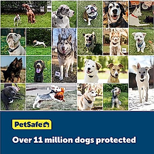 PetSafe RFA-188 3 Volt Replacement Battery Module - Compatible with PetSafe 3V Lithium Battery-Operated Products for Cats and Dogs - ( RFA 188 )
