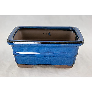 6" Rectangular Blue Bonsai/Succulent Pot + Soil + Tray + Rock + Mesh Kit