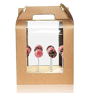 Vowcarol Portable Cake Pop Holder Boxes Cake Pop Display Stand with Cover Candy Apple Boxes with Hole Cake Pop- Packaging - 6 Packs