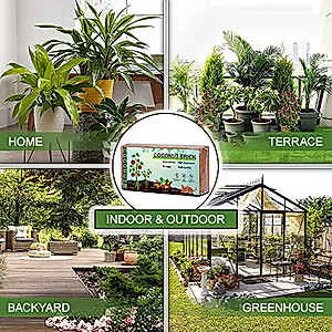 Hodiax Premium Coco Coir Brick, 1.4Lb High Nutrinent Compressed Coconut Soil, OMRI 100% Organic Low EC & PH Balanced Potting Soil for All Plants Gardening, Hydroponics and Reptile Substrate (650G x 2)