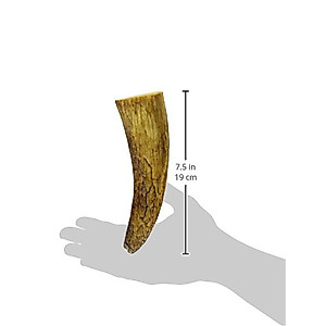 Qt Dog Buffalo Horn Core Chew , Large
