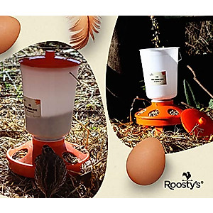 Roosty's Chick Feeder and Waterer Kit, Chicken Feeder and Waterer Set, 1.5kg Poultry Feeder and 1.5L Chick Waterer - Baby Chick Feeder, Baby Chick Waterer, Chicken Starter Kit, Baby Chicken Supplies