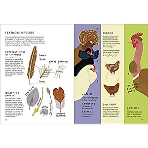 Chickenology: The Ultimate Encyclopedia (The Farm Animal Series)