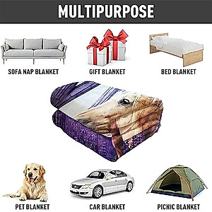 HommomH 40"x50" Horse Blanket with Purple Lavender, Super Soft Fleece Throw Blankets for Girls