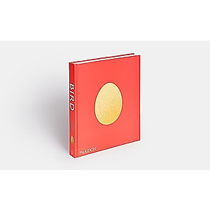 Bird: Exploring the Winged World