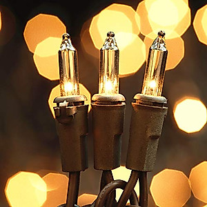 JinBest Brown Wire Christmas Lights, Commercial 200 Clear Mini Light Set, Pack of 2 Sets 100 Lights, for Indoor Outdoor Party, Garden, Fences, Trees.