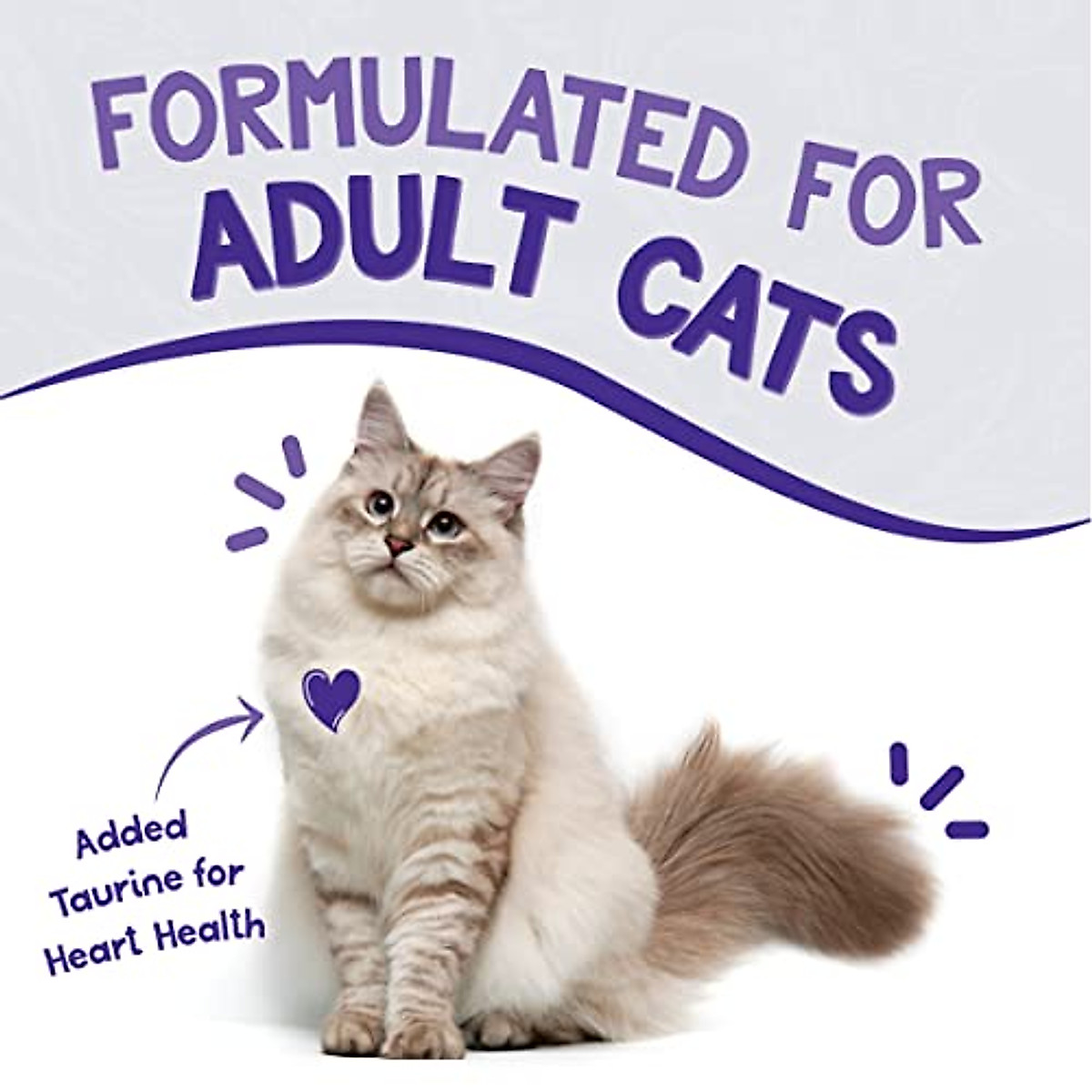 Earthborn Holistic Chicken Fricatssee Grain-Free Moist Cat Food Purple 24 Count (Pack of 1)