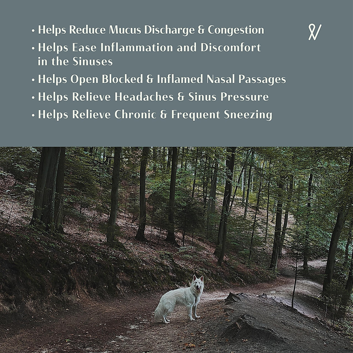 2024 Everpath Upgraded Sinus Support for Dogs - 2 Fluid Ounces/60mls | USA Made | Supports Sinus Health and Relief | Relief for Allergies, Congestion & Acute Sinusitis | Natural Solution for Pets