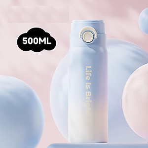 bukebro Stainless Steel Vacuum Insulated Water Bottles Leak Proof with Straw,keep warm|cool,Gifts for him|her,used in office,outdoor sports 17oz/500ml (17oz blue)