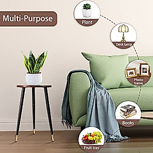 Dunatou Wood Plant Stands, Tall Metal Wood Shelf Holder for Flower Pots, Mid Century Indoor Plant Stand for Corner Living Room Balcony Garden Patio, Modern Home Decor Small Round Side End Table