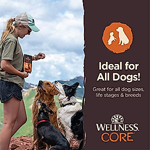 Wellness CORE Soft Tiny Trainers (Previously Petite Treats), Natural Grain-Free Dog Treats for Training, Made with Real Meat, No Artificial Flavors (Turkey & Pomegranate, 6 Ounce Bag)