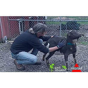 Bissell De-Shedding Grooming Gloves for Pets, Size Medium (M), 1 Pair, for Long and Short Hair on Dogs Cats and More