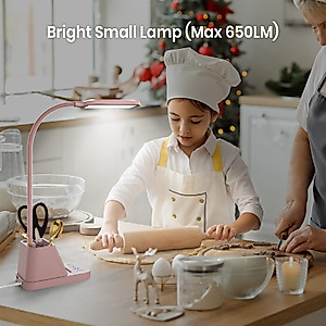 AXX Pink Desk Lamp for Kids, Cute Study Table Light for Bedrooms, Kawaii, USB Charging Port, Small, LED, 650LM, Room College Dorm Essentials, Office Accessories for Women Teen Girls