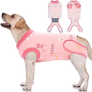 IDOMIK Dog Surgery Recovery Suit, Soft Comfortable Surgical Recovery Dog Onesie, Post Spay Neuter Recovery Shirt for Small Large Dogs, Cone Alternative After Surgery Anti Licking Wounds,Blue Stripe,L