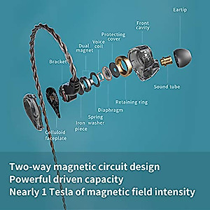 FiiO FD1 Hi-Res Earphone Wired,Beryllium-Plated 1DD,4-Stranded High-Purity Monocrystalline Copper, 0.78pin,Strong Bass (Without Mic,Black)