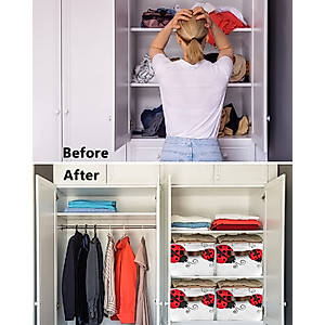 Lady-bugs Cube Storage Organizer Bins with Handles, 15x11x9.5 Inch Collapsible Canvas Cloth Fabric Storage Basket, Red Minimalistic Abstract White Books Bin Boxes for Shelves, Closet