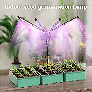 Grow Lights for Indoor Plants, LED Full Spectrum Plant Light with Stand (Adjustable Tripod 15-60inch for Floor Plants, Red/Blue/White, 4/8/12H Timer with Remote Control) (Red)