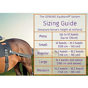 Equiband Equicore Concepts Complete System, Large Size, Oversize Horse