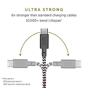 Native Union Type-C Belt Cable - USB-C to USB-C 4ft Ultra-Strong Charging Cable Compatible with iPad Pro 2018-21, iPad Air 5, Microsoft Surface Go 3, Google Pixel 6, Samsung Galaxy S22 (Zebra)