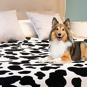 Cow Print Blanket Lightweight Soft Warm Blankets and Throws Cozy Fleece Cow Baby Blanket Fuzzy Cute Black Cow Printed Throw Blankets for Baby Kids Boys Girls Toddler Newborn Infant 40x50 inch