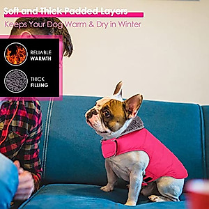 AOFITEE Dog Coat, Winter Dog Jacket Windproof Fleece Cold Weather Coats for Dogs, Warm Dog Winter Vest with Collar & Zipper Leash Hole, Outdoor Pet Apparel for Small Medium Large Dogs, Pink S