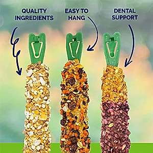 Vitakraft Guinea Pig Fruit & Honey Treat Sticks 2 Pack, 3.5 Ounce