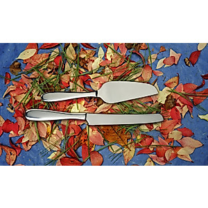 Fortessa Grand City 18/10 Stainless Steel Flatware Cake Server, 10.3-Inch