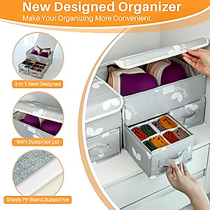 EASEVE Sock Underwear Drawer Divider - Closet Organizers and Dresser Organizer Wardrobe Clothes Box Storage Bins with Lid for Bra, Leggings, Shirt, Panty (1 Pack, Grey)