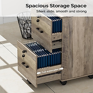 VINGLI 2 Drawer File Cabinet with Lock, Wood Rustic Gray File Cabinet for Letter Size File Folders with Tabs, Under Desk Rolling File Cabinets for Home Office, Mobile Filing Cabinet Printer Stand