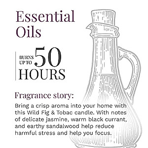 Essential Elements by Candle-lite Scented Candles Wild Fig & Tobac Fragrance, One 9 oz. Single-Wick Aromatherapy Candle with 50 Hours of Burn Time, Off-White Color