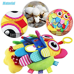 teytoy My First Baby Toys-Who Do You See, Baby Crinkle Activity and Teething Toy with Multi-Sensory Rattle and Textures, Owl