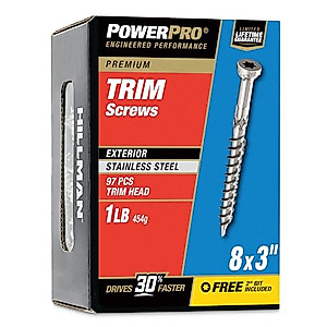Power Pro Premium 305 Stainless Steel Trim Screws (#8 x 3") - 1lb Box