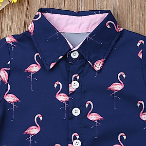 VISGOGO Toddler Baby Boy Flamingo Short Sleeve Button Down Shirt & Casual Shorts Set Summer Outfits 1-6 Years Clothes