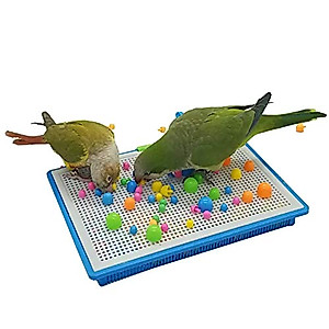 QBLEEV Bird Intelligence Training Toy,Parrot Puzzle Building Blocks Toy,Tabletop Treats Education Toys, Bird Plastic Cage Playpen Toys for Parakeet Cockatiel Conure Budgie (Large)