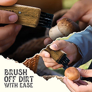 Gather Americana Mushroom Foraging Knife - 3 Inches High Carbon Steel Blade - Boar-Bristle Brush and Walnut Handle