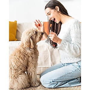 Paw Ready from Doggy Breath to Doggy Fresh Dog Dental Care Enzymatic Toothpaste for Dogs | Cleans Teeth and Freshens Breath | Safe for Puppies, Clinical Care, Banana Mint Flavor - 1 Pack 70g (2.5 oz)