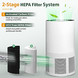 2 Pack H13 True HEPA Replacement Filter Compatible with Crane EE-5068 Air Purifier, Part Number HS-1946