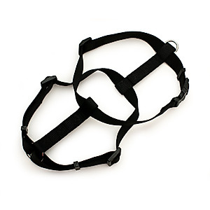 Aspen Pet Nylon Harness, Black, 3/8" x 8-14"